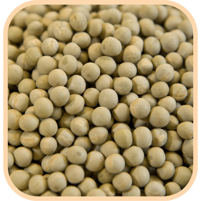 Blue Boiling Peas : 2 Brothers foods Online, Wholefoods, Health foods ...