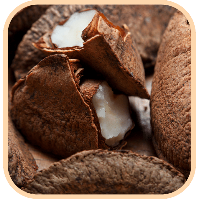 Buy Nuts Online at 2Brothersfoods.com