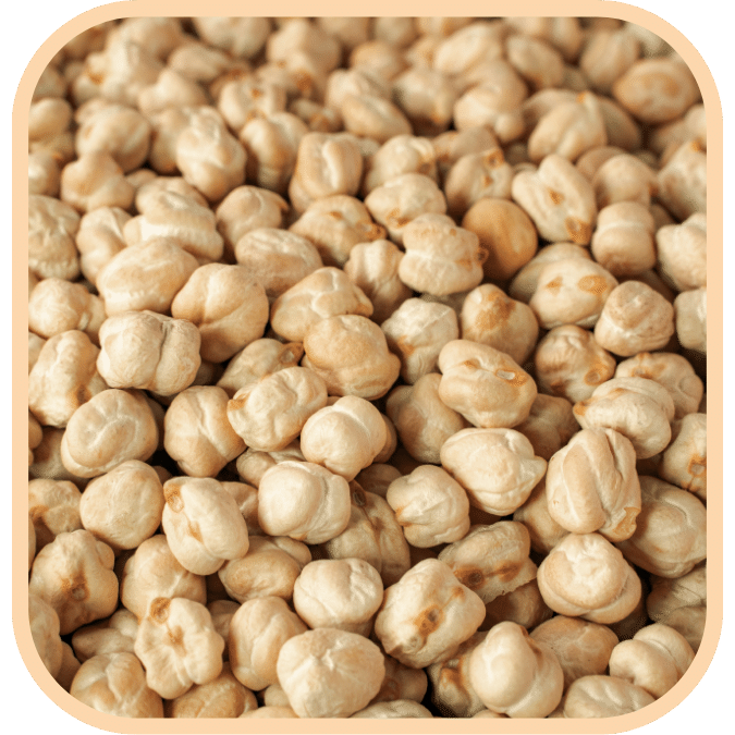 Chickpeas - Ord River : 2 Brothers foods Online, Wholefoods, Health ...