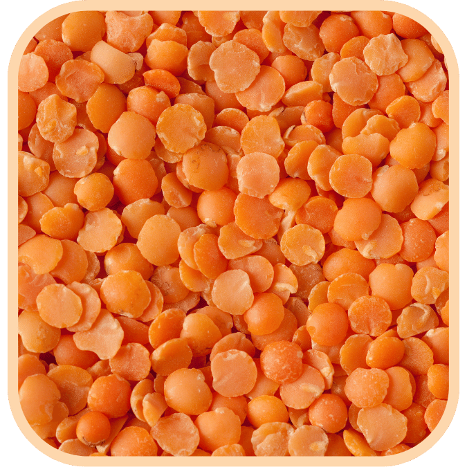 Lentils - Red : 2 Brothers foods Online, Wholefoods, Health foods ...